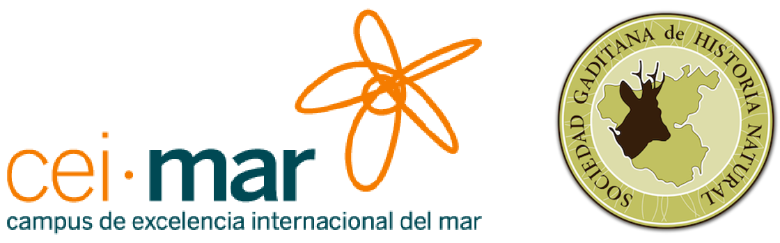 Foro Sem 2023 – Sitio web de la Universidad de Cádiz